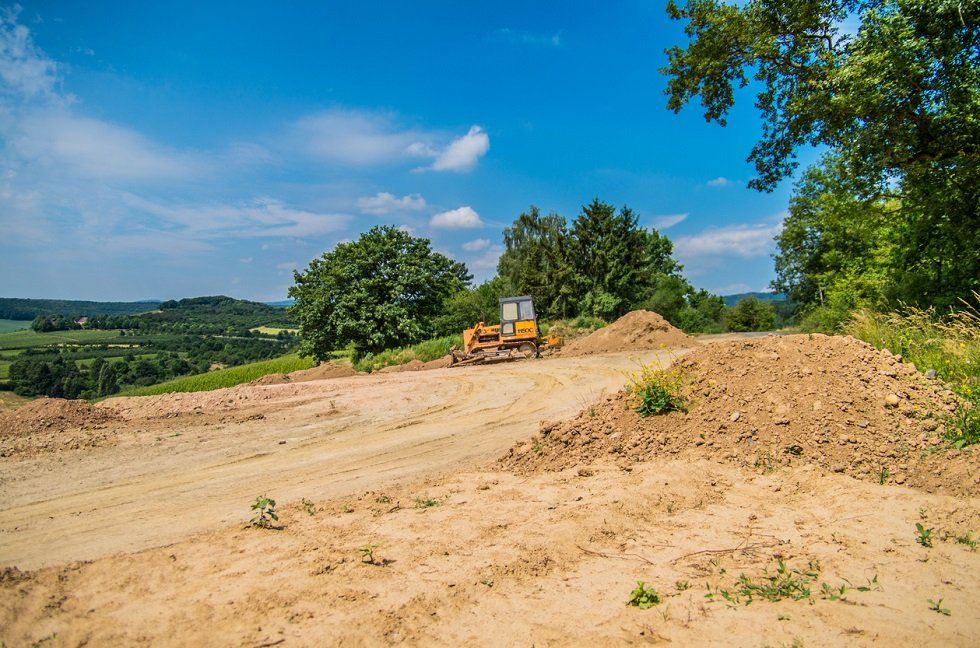 Características de las fincas y terrenos rústicos | Fotocasa