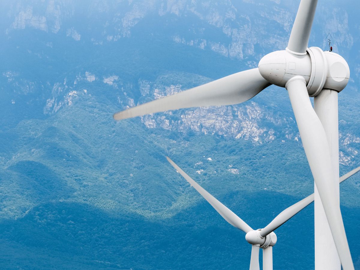 La energía eólica y la solar salvan al sector de la energía renovable ...