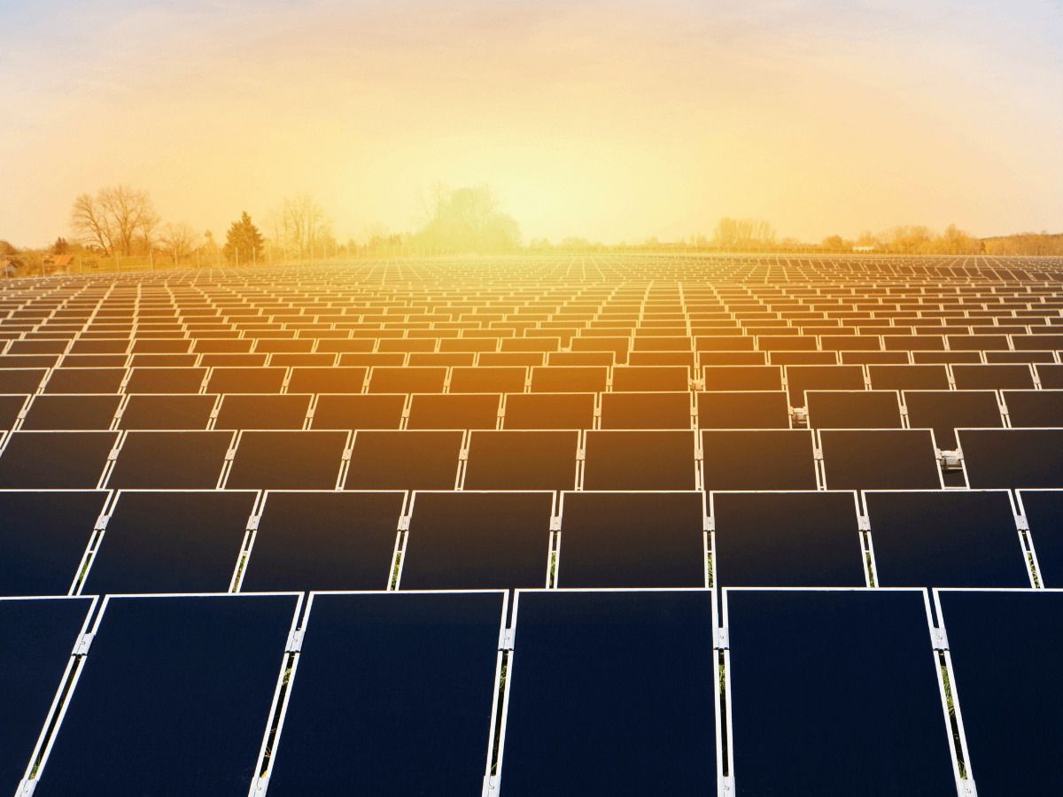 La energía eólica y la solar salvan al sector de la energía renovable ...